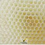Understanding the Parts of a Beehive - Carolina Honeybees