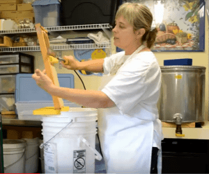 Processing Beeswax Cappings - A Treasure from the Beehive - Carolina Honeybees