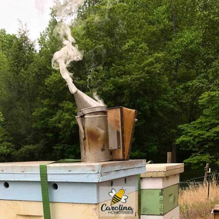 Beekeeping Supplies & Equipment - Carolina Honeybees