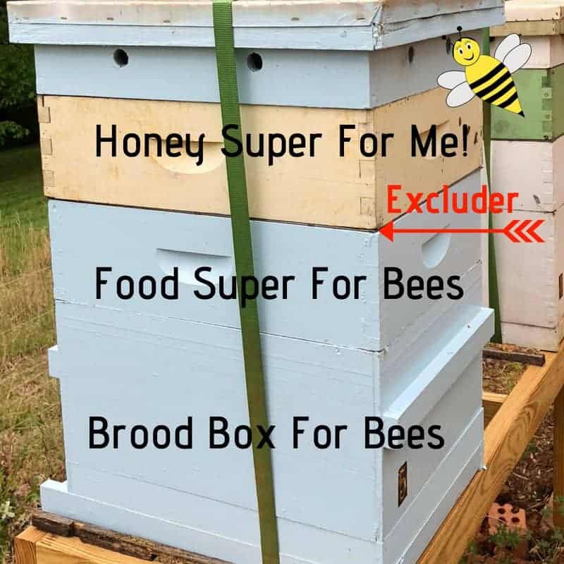 Queen Excluder: Pros and Cons - Carolina Honeybees
