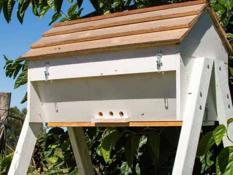 How to Build a Beehive of Your Own - Carolina Honeybees
