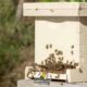 What is a Bee Nuc in Beekeeping - Carolina Honeybees