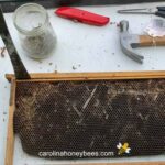 How to Install Beeswax Foundation in Frames - Carolina Honeybees