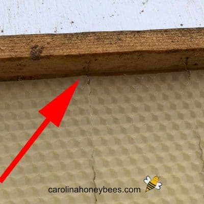 How to Install Wax Foundation in Frames- Carolina Honeybees