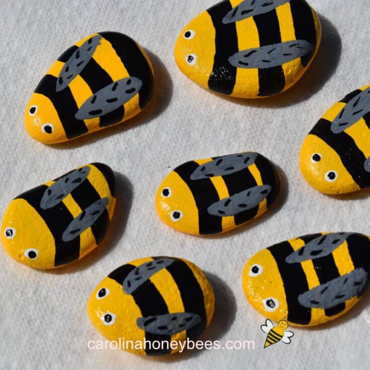Bee Rock Painting: Easy Fun Ideas - Carolina Honeybees
