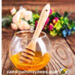 The Color of Honey - Which is Best? - Carolina Honeybees