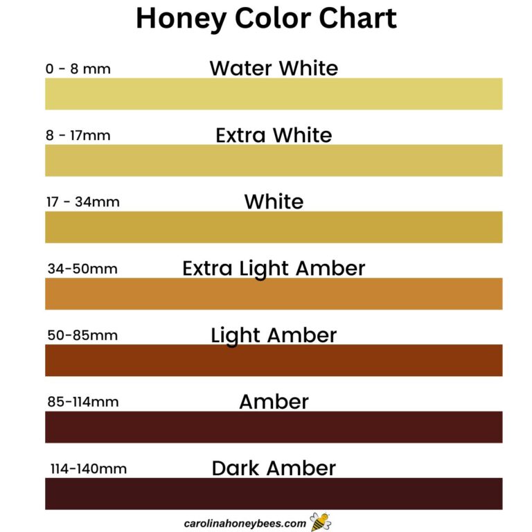 The Color of Honey - Carolina Honeybees
