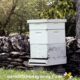 How To Paint a Beehive - [A Simple Guide] - Carolina Honeybees
