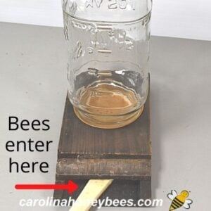 How to Make a Mason Jar Bee Feeder- Carolina Honeybees