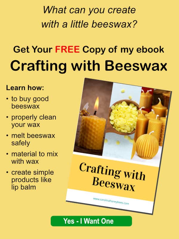 Beeswax Balm for Your Feet-DIY - Carolina Honeybees