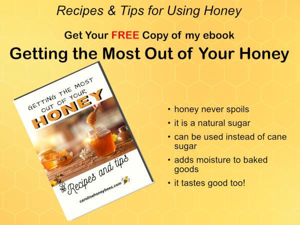 The Color of Honey - Which is Best? - Carolina Honeybees