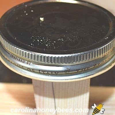 How to Make a Mason Jar Bee Feeder- Carolina Honeybees