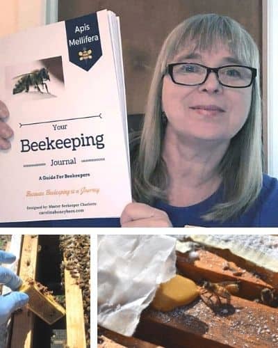 Your Beekeeping Journal - Carolina Honeybees