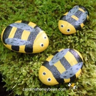 Bee Rock Painting: Easy Fun Ideas - Carolina Honeybees