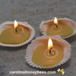 DIY Seashell Candles: Step by Step- Carolina Honeybees