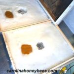 DIY No-Cook Candy Board for Bees - Carolina Honeybees