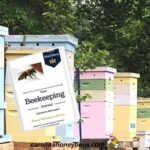 How to Keep Beehive Records - Carolina Honeybees