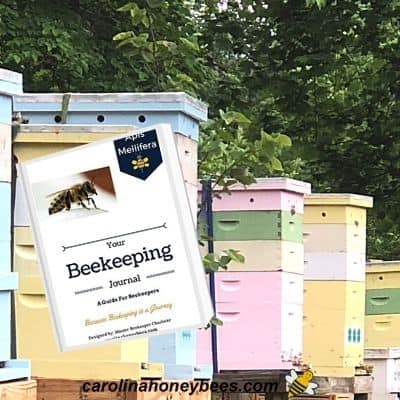 How to Keep Beehive Records - Carolina Honeybees