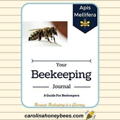 Master Beekeeper's Guide to Keeping Hive Records - Carolina Honeybees