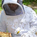 What Does a Beekeeper Do? - Carolina Honeybees