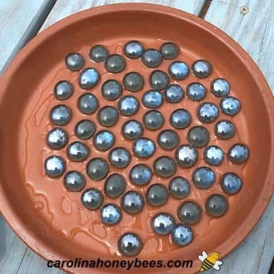 How to Make a Bee Water - Carolina Honeybees