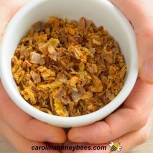 How to Harvest Bee Propolis from Your Hives - Carolina Honeybees