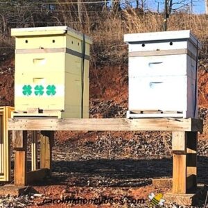 Beehive Stands : How They Help Bees & Beekeepers- Carolina Honeybees