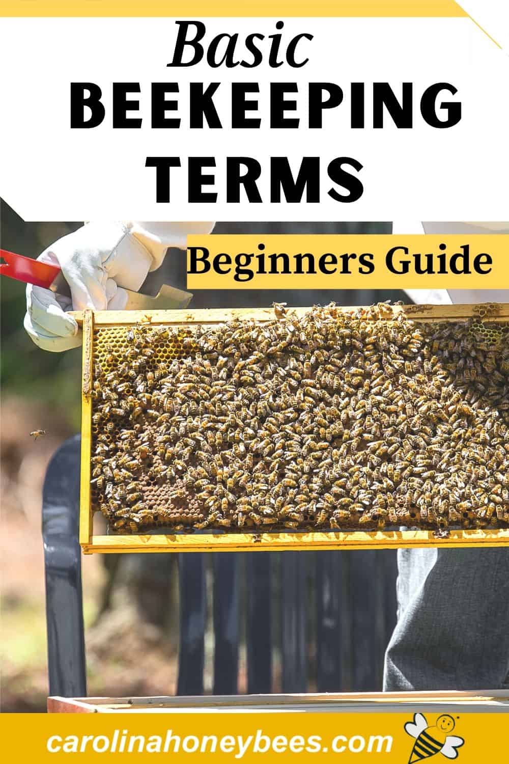Important Beekeeping Terms - Carolina Honeybees