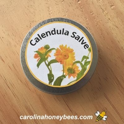 How to Make Calendula Salve - Carolina Honeybees