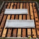 Formic Acid Treatment for Bees (How to Use) - Carolina Honeybees