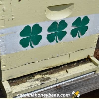 Formic Acid Treatment for Bees (How to Use) - Carolina Honeybees