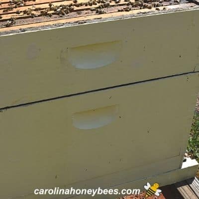 Formic Acid Treatment for Bees (How to Use) - Carolina Honeybees