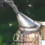 How to Light a Bee Smoker - Carolina Honeybees