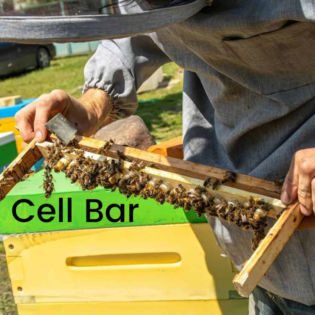 Tips for Marking a Queen Bee - Carolina Honeybees