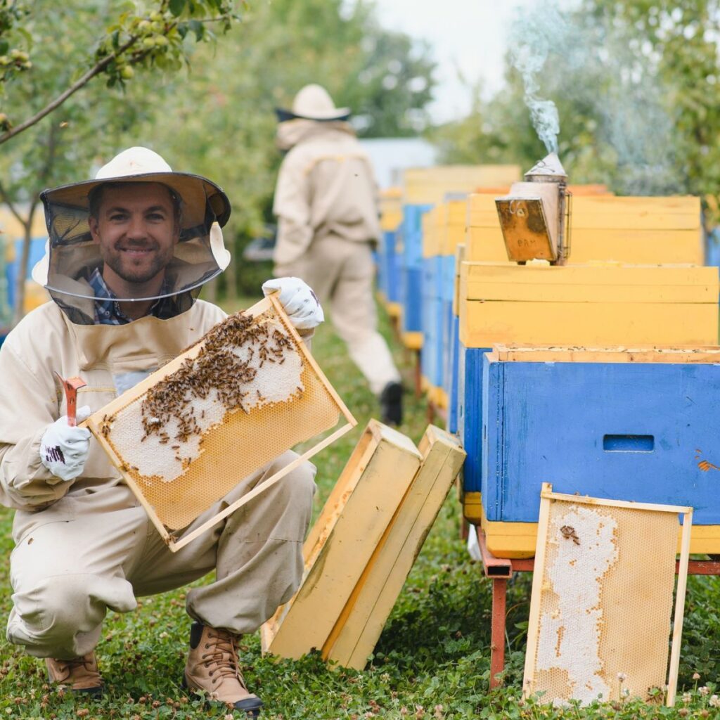 Bee Skep Hives- a Traditional Approach - Carolina Honeybees