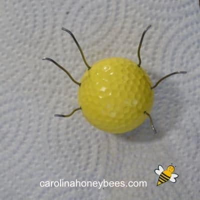 DIY Golf Ball Craft Bees - Carolina Honeybees