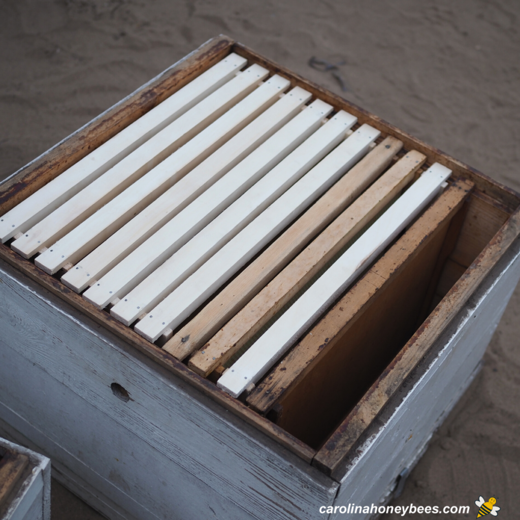 How to Assemble Bee Frames - Carolina Honeybees