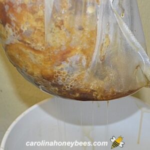 How to Extract Honey: Step by Step - Carolina Honeybees
