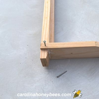 How to Assemble Bee Frames - Carolina Honeybees