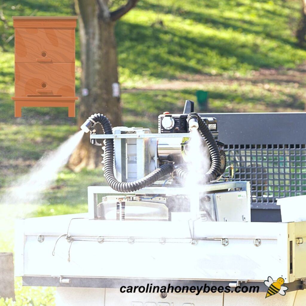 What are Best Types of Honey Bees? - Carolina Honeybees
