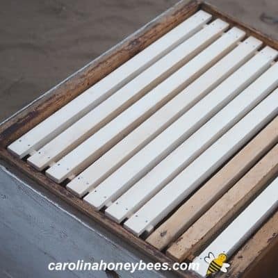What Is A Beehive? - Where Bees Live - Carolina Honeybees