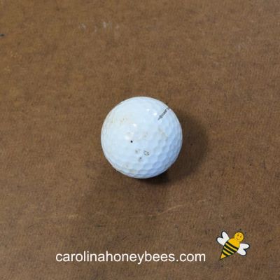 DIY Golf Ball Craft Bees - Carolina Honeybees
