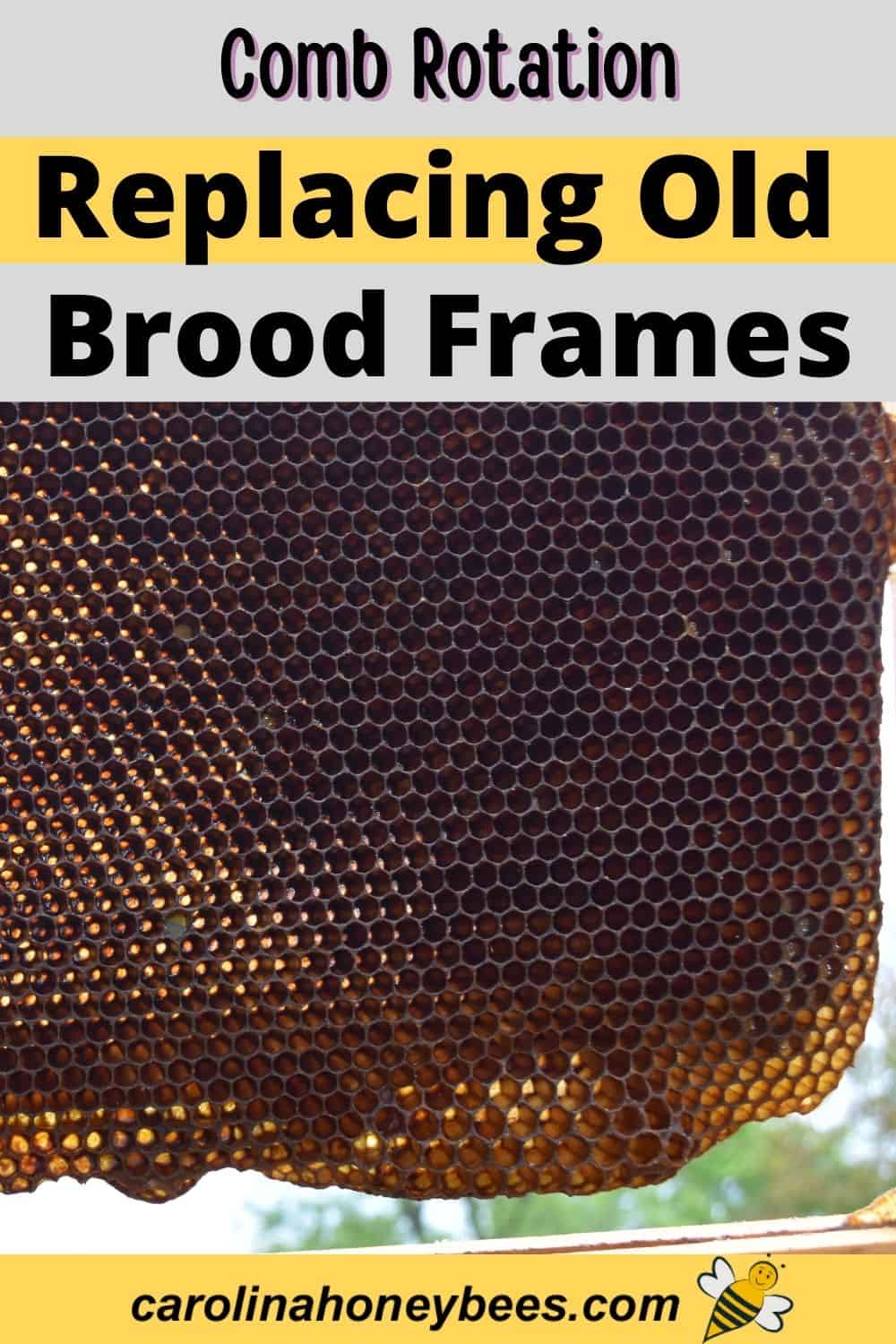 Comb Rotation: Replacing Old Brood Frames - Carolina Honeybees