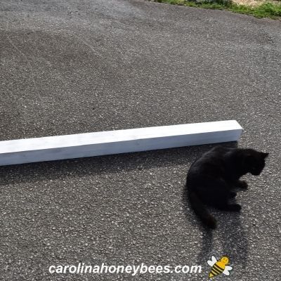 How to Make a Bee Garden Art Pole- Carolina Honeybees
