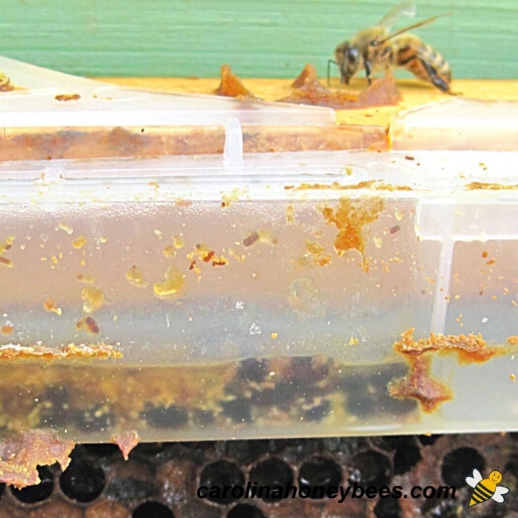 Basic Parts of a Beehive - [What Do You Need?] - Carolina Honeybees