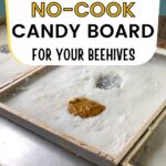 DIY No-Cook Candy Board for Bees - Carolina Honeybees