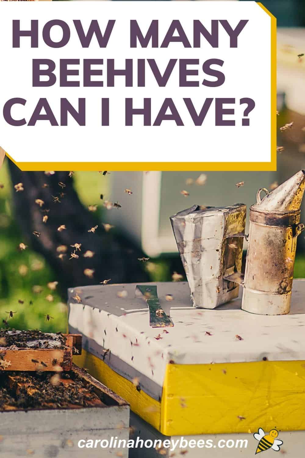 How Many Beehives Can 1 Person Manage? - Carolina Honeybees