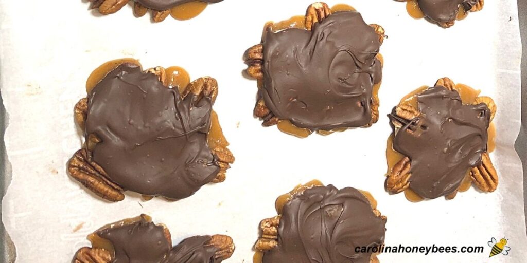 How to Make Chocolate Turtle Candy {With Honey}- Carolina Honeybees