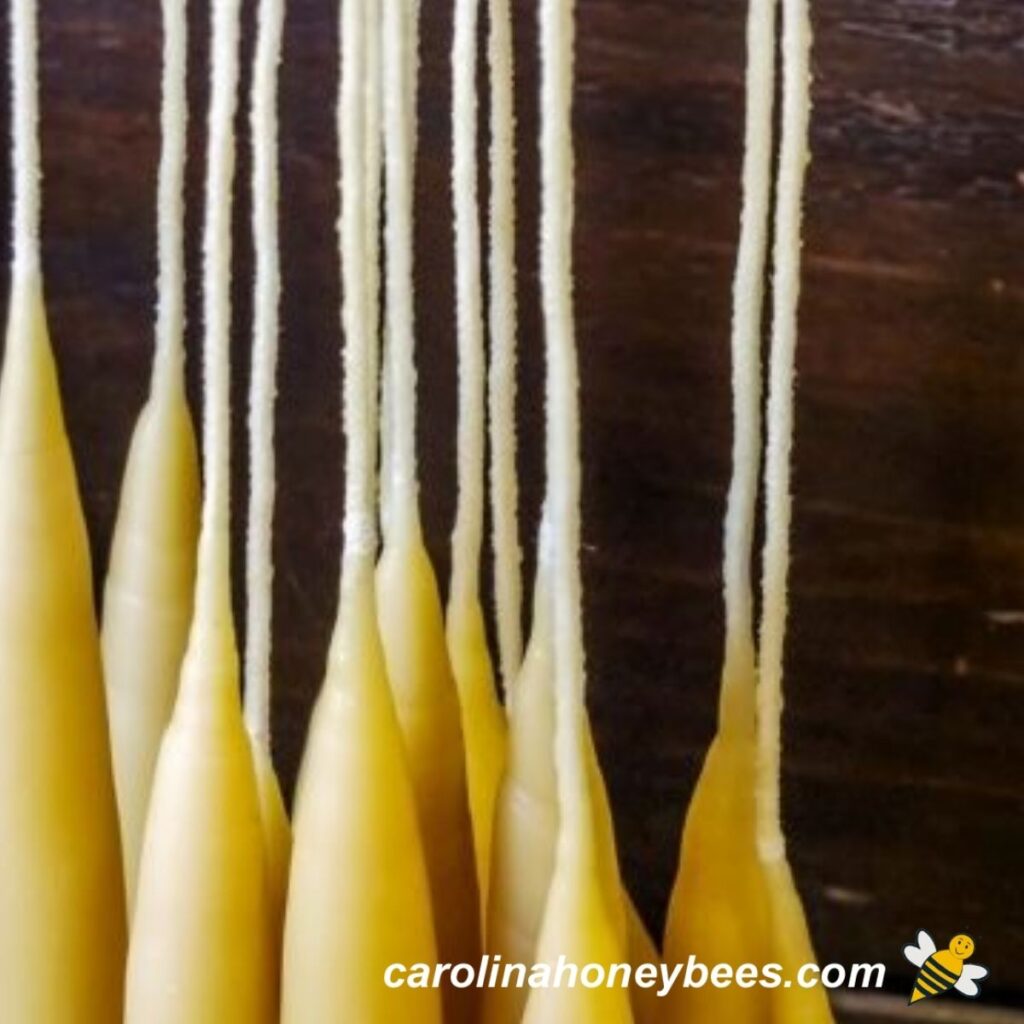 How to Make Dipped Beeswax Candles - Carolina Honeybees