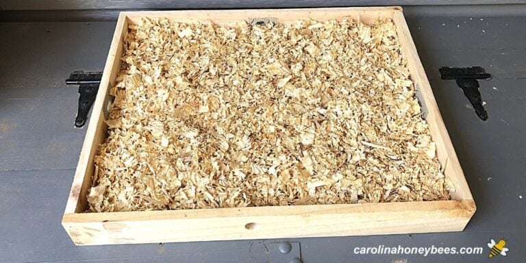 How to Make a Bee Quilt Box for Your Hive - Carolina Honeybees